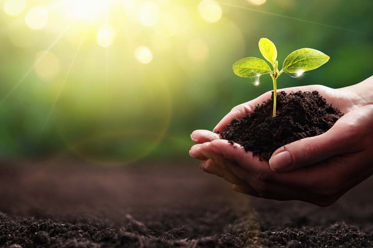 HPE Engage & Grow | HPEnergy